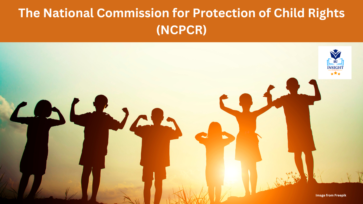 The National Commission for Protection of Child Rights 2007