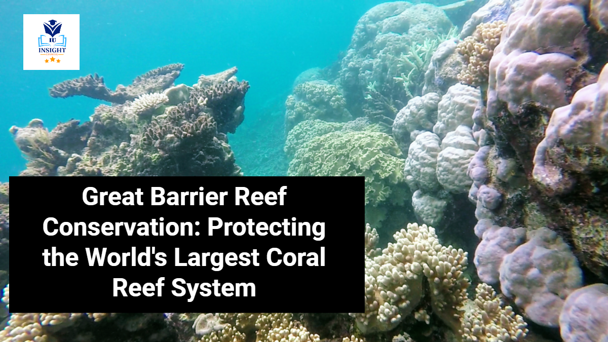 Great Barrier Reef Conservation: Protecting the World's Largest Coral Reef System 2024